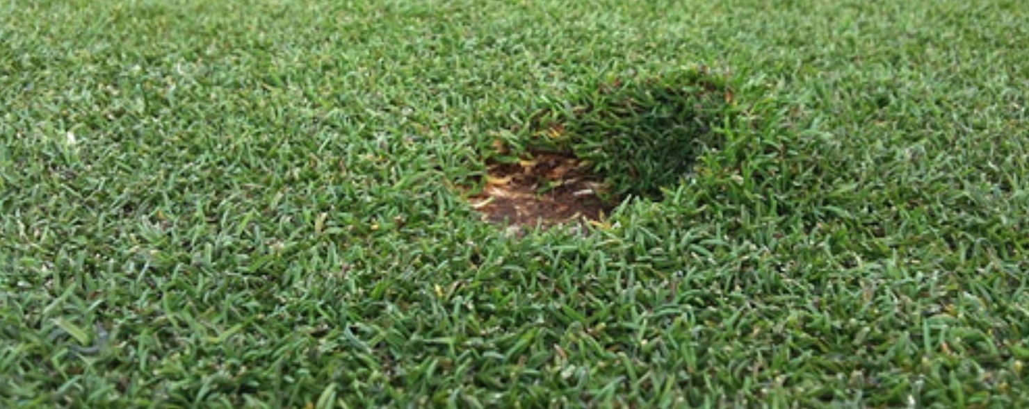 Monthly Divot - First Tee - Green Valley Ranch